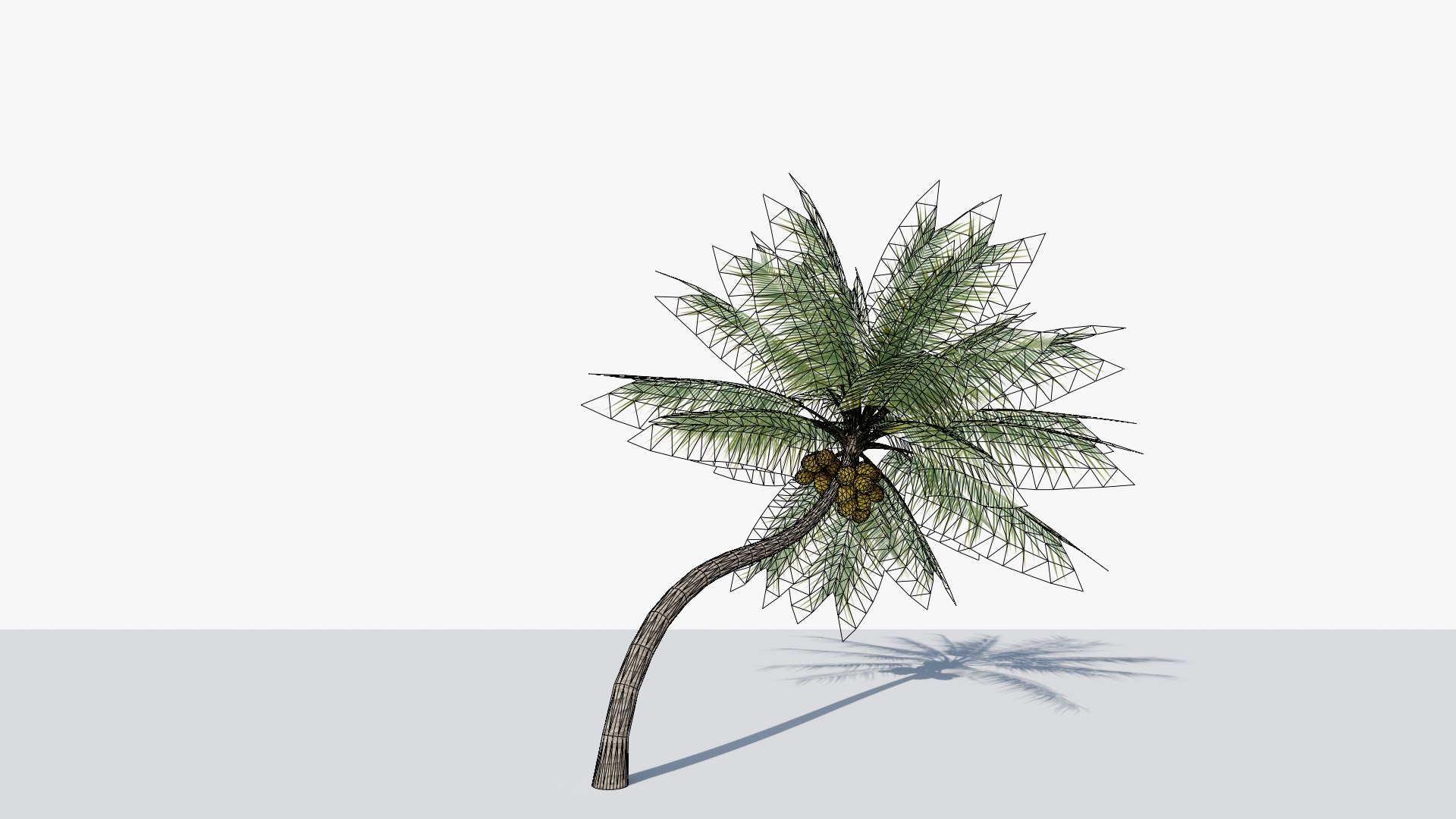 3D Coconut Palm V3 - TurboSquid 2048132