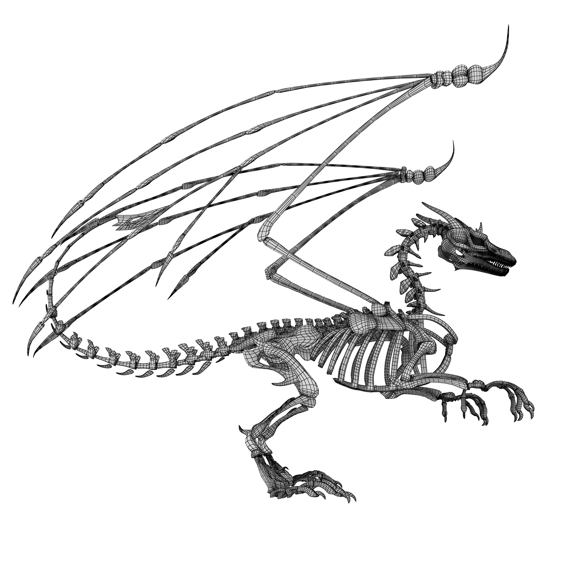 dragon 3d max