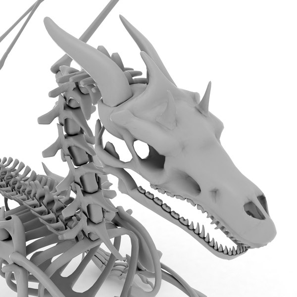 dragon 3d max
