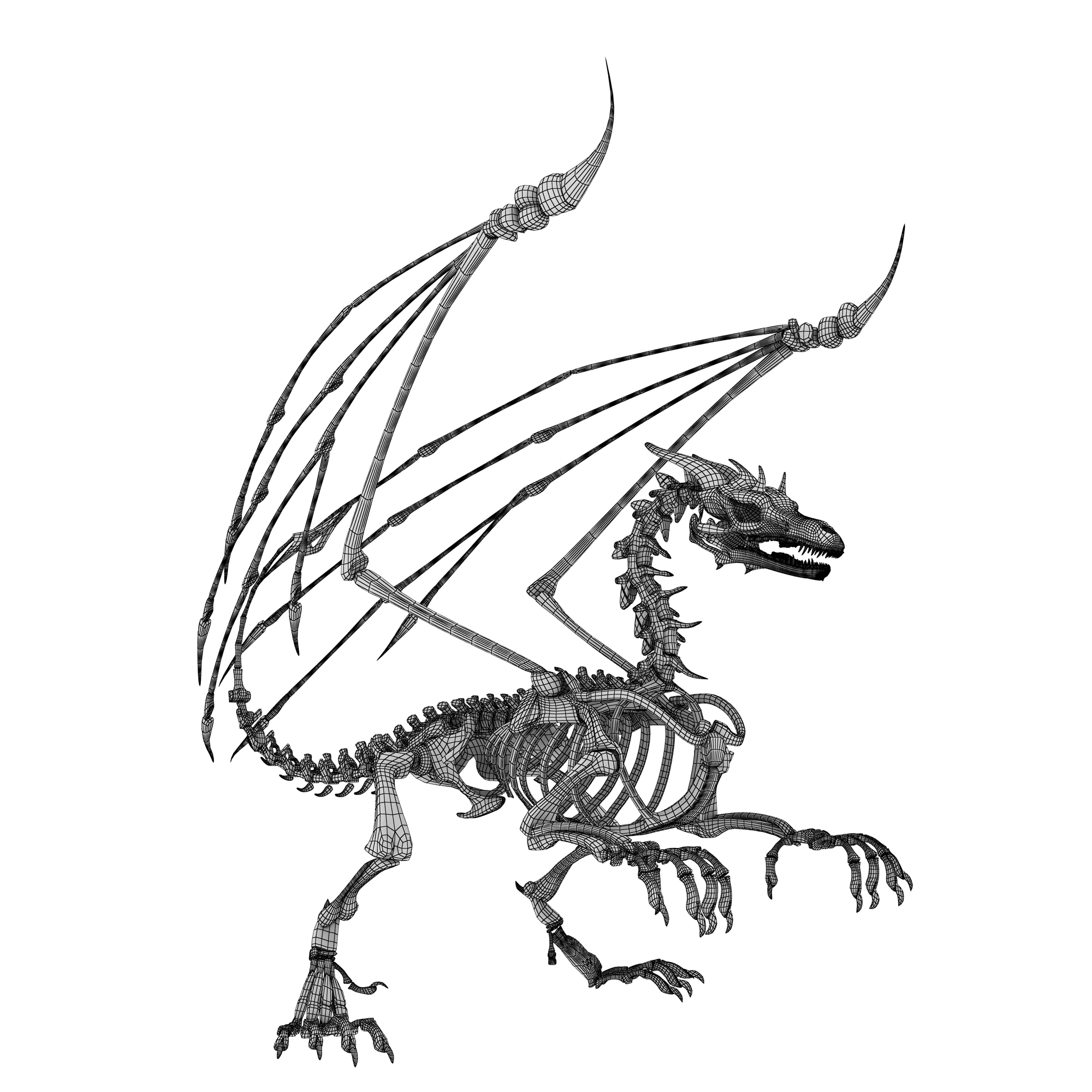 dragon 3d max