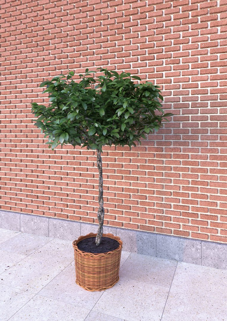3D Plant Ratan Pot - TurboSquid 1299044