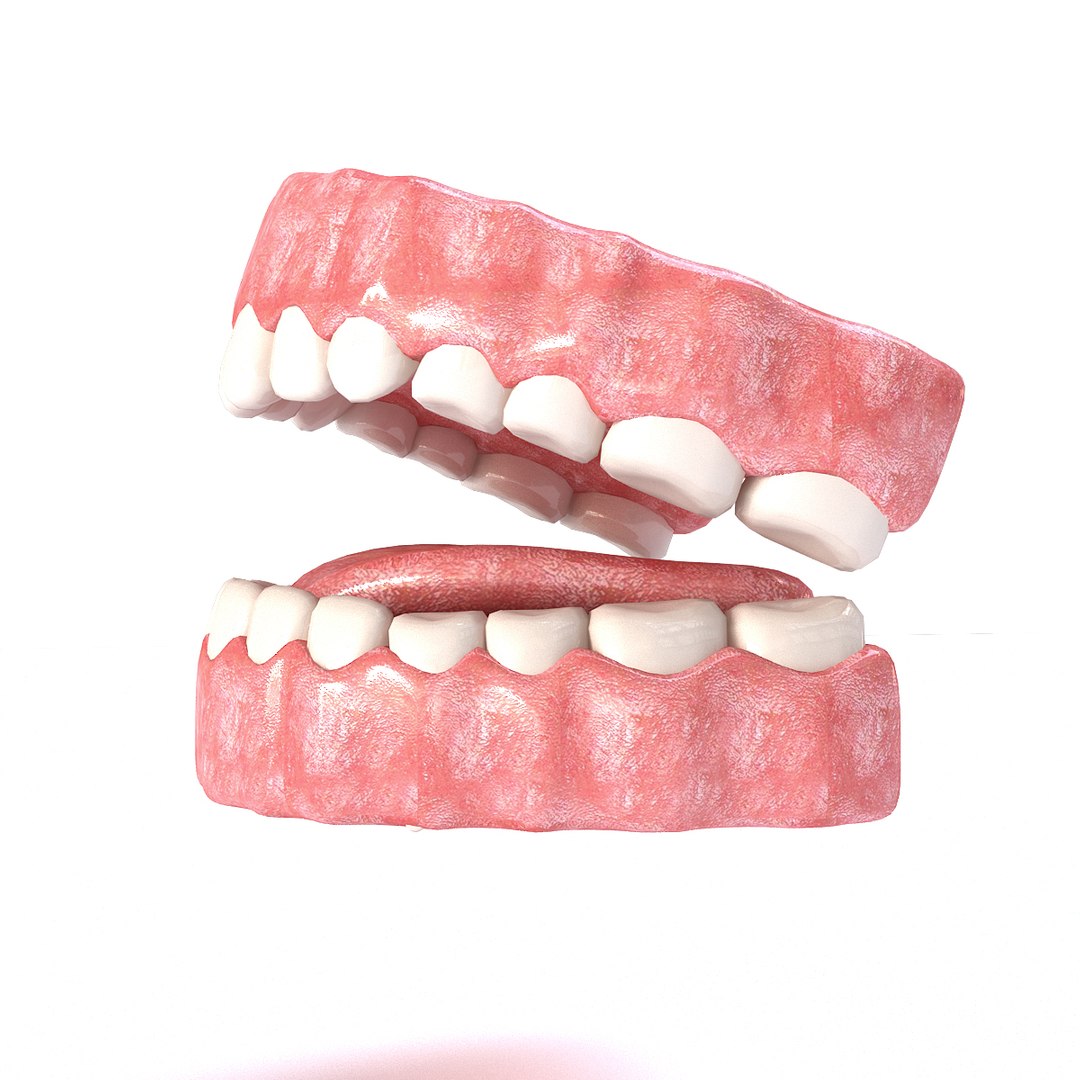 Realistic Mouth 3D Model - TurboSquid 1327900