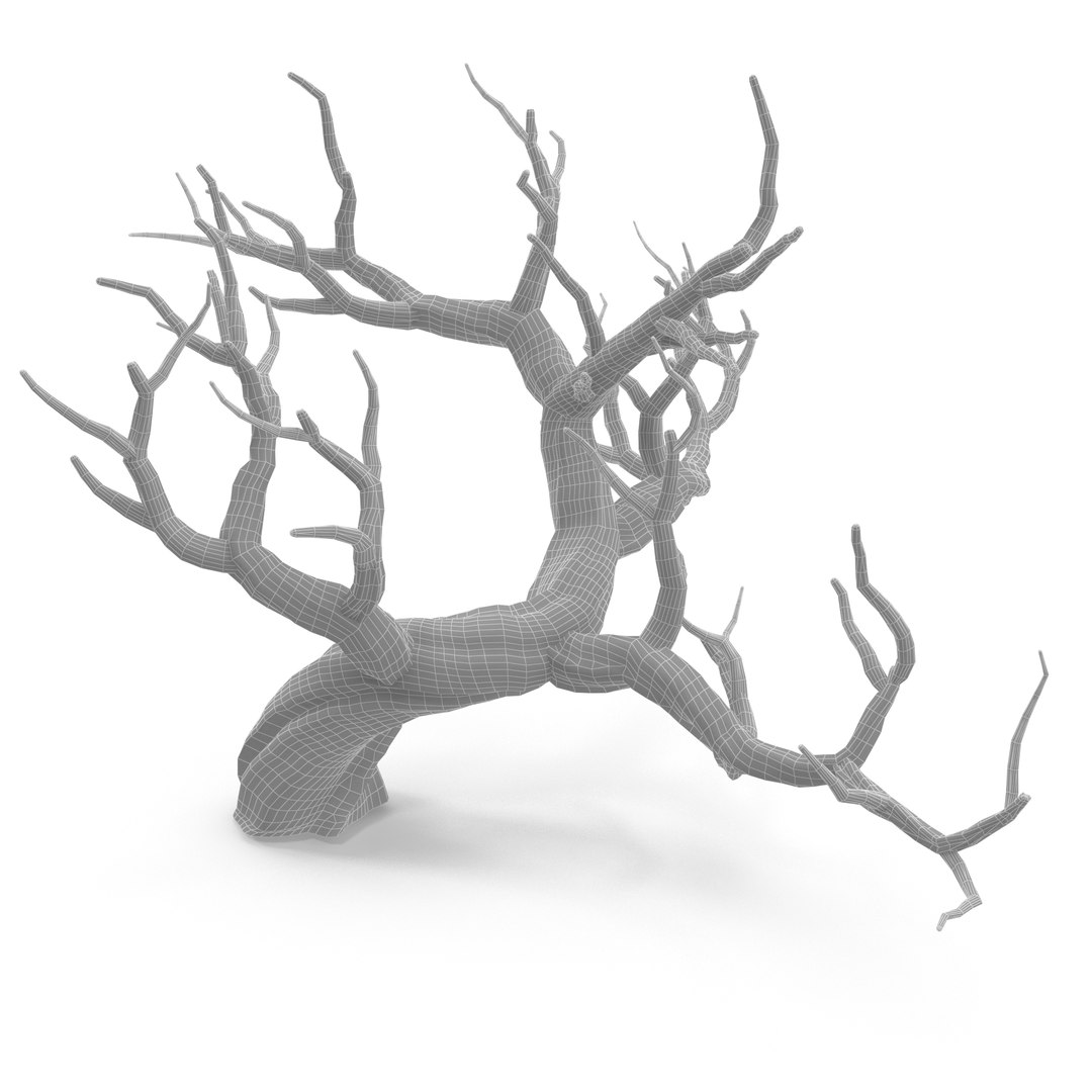 Aquarium Snag Set Model - TurboSquid 2389144