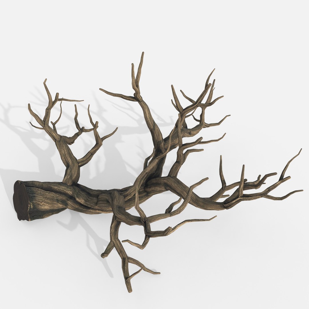 Aquarium Snag Set Model - TurboSquid 2389144