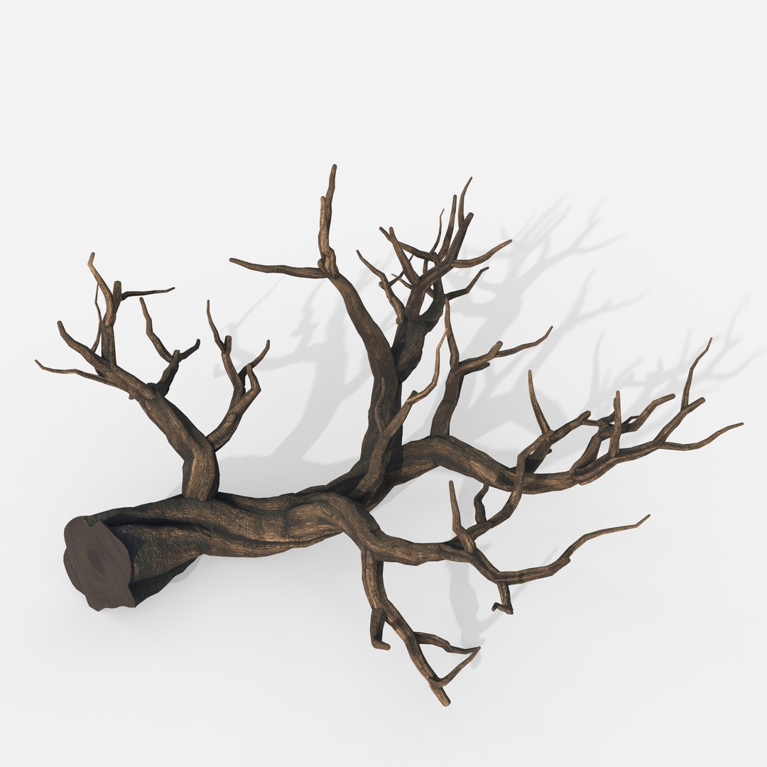 Aquarium Snag Set Model - TurboSquid 2389144