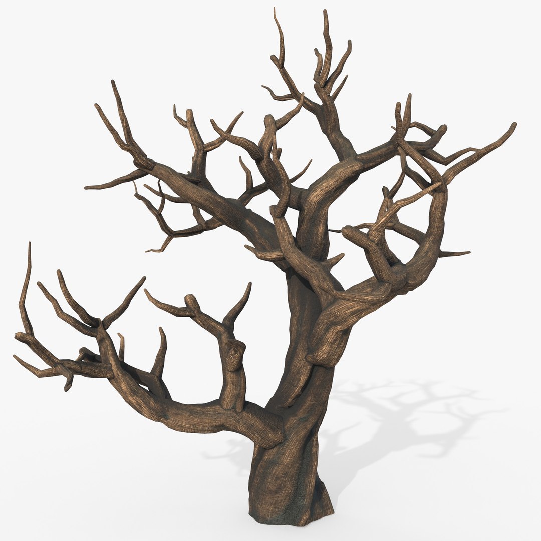 Aquarium Snag Set Model - TurboSquid 2389144