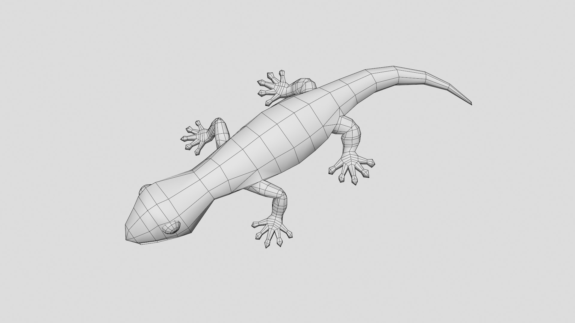 Gecko Low Poly Base Mesh Model - TurboSquid 1823514