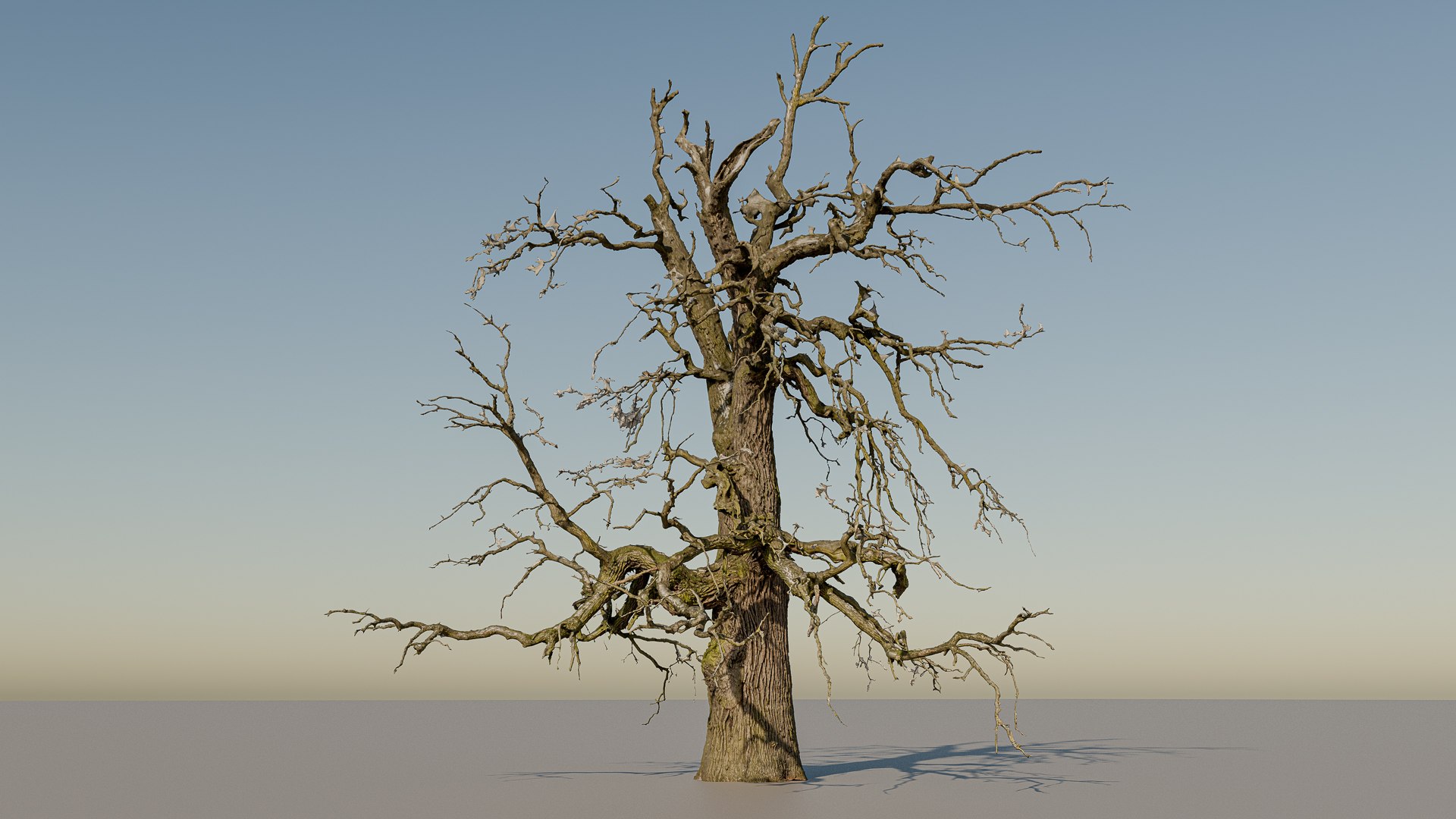 600-year-old Dead Oaks - ENTS Package 02 3D Model - TurboSquid 2339784