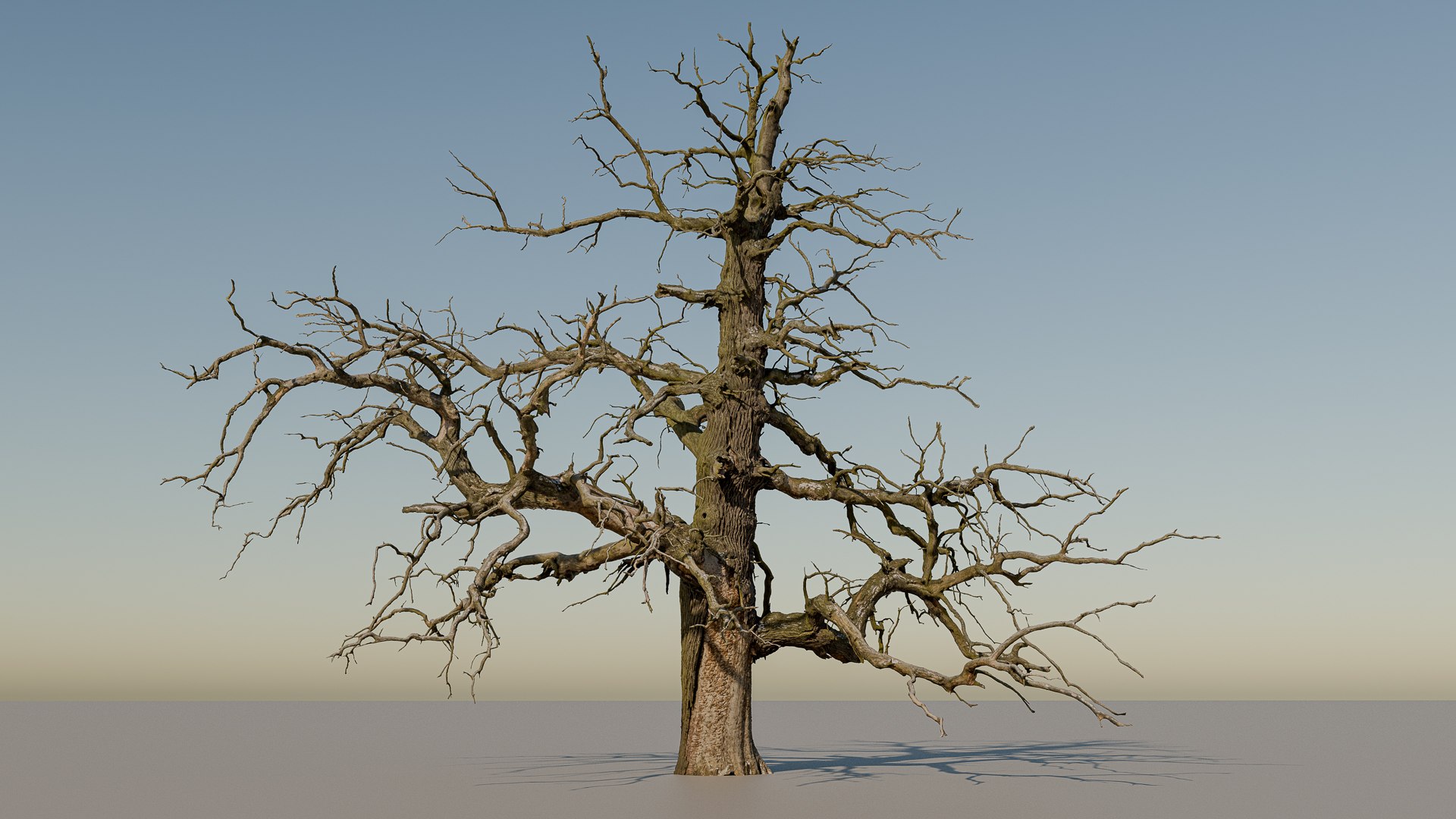 600-year-old Dead Oaks - ENTS Package 02 3D Model - TurboSquid 2339784