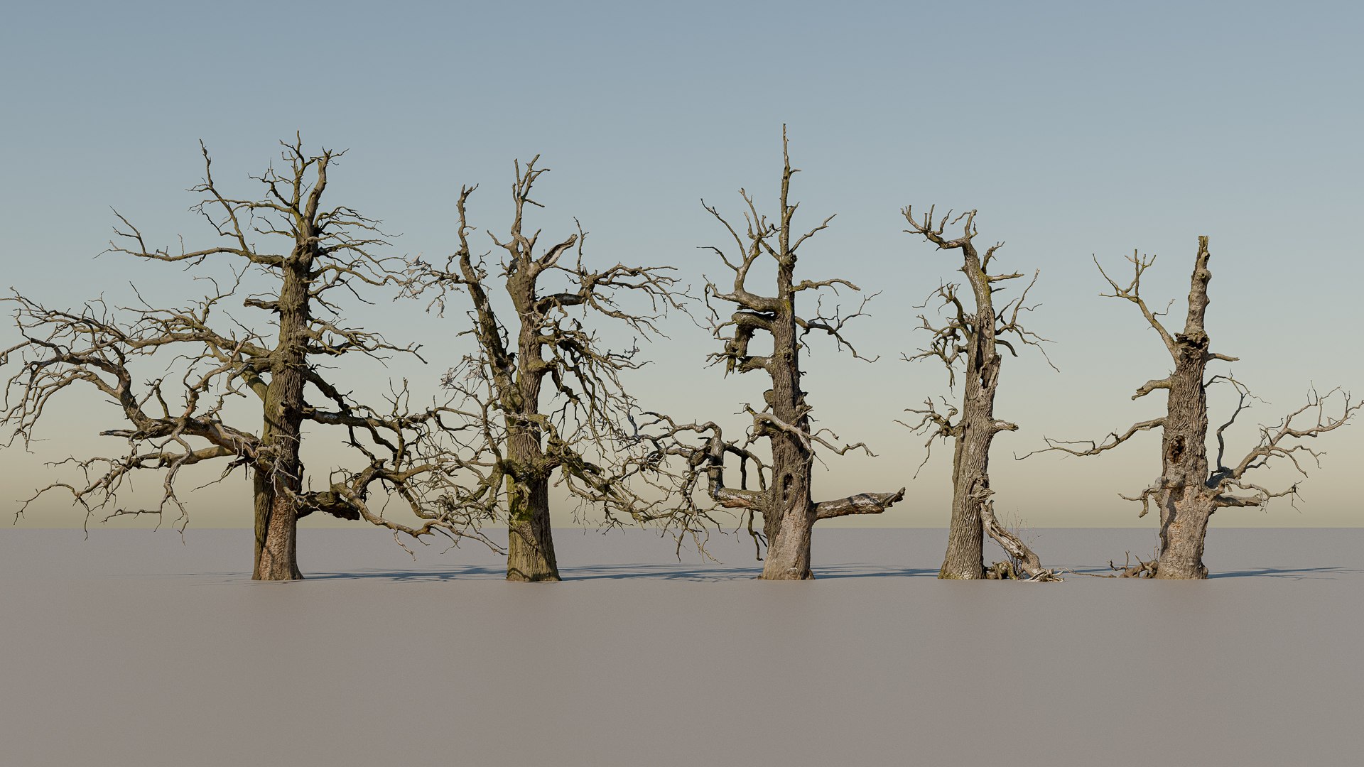 600-year-old Dead Oaks - ENTS Package 02 3D Model - TurboSquid 2339784