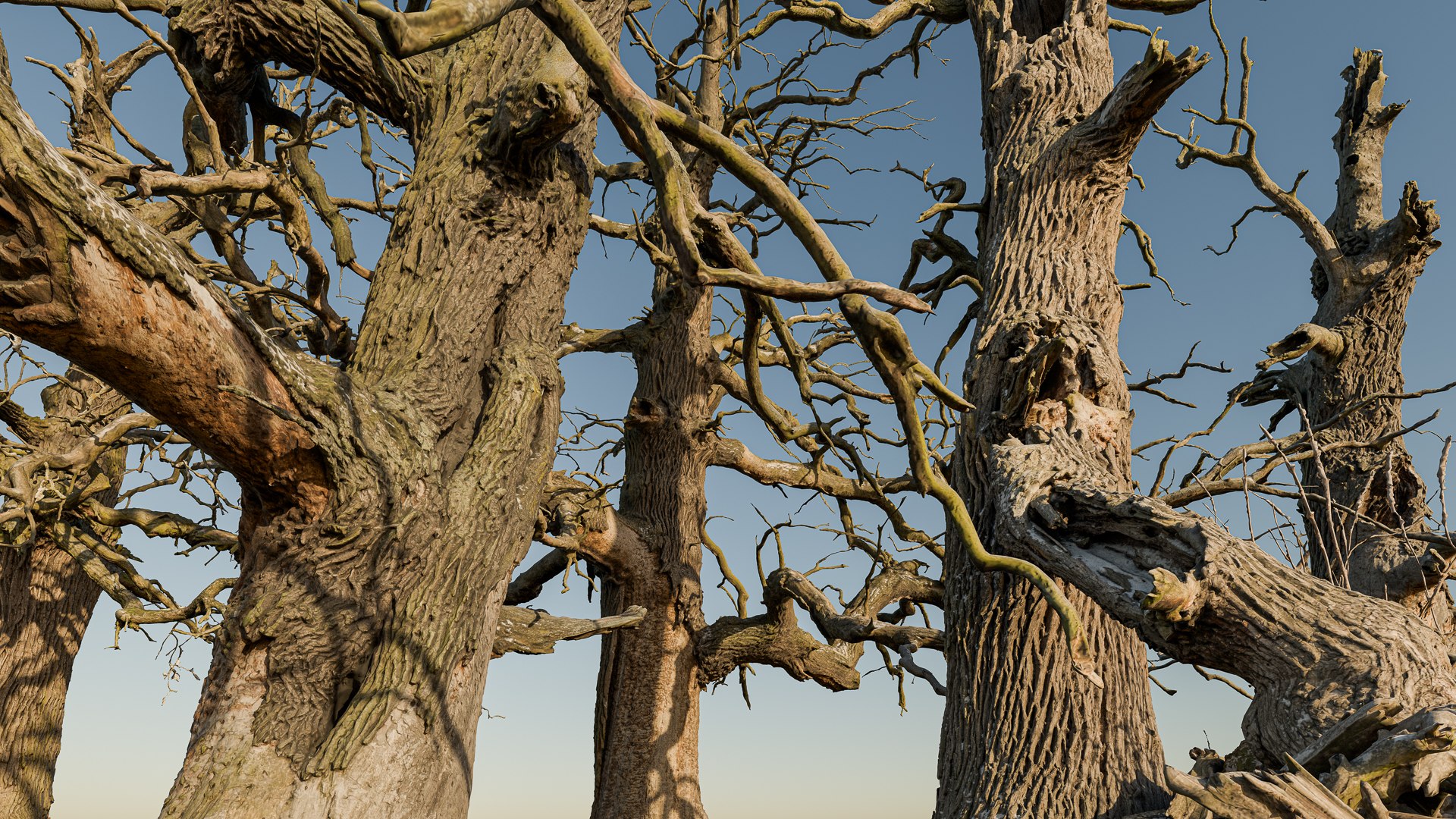600-year-old Dead Oaks - ENTS Package 02 3D Model - TurboSquid 2339784