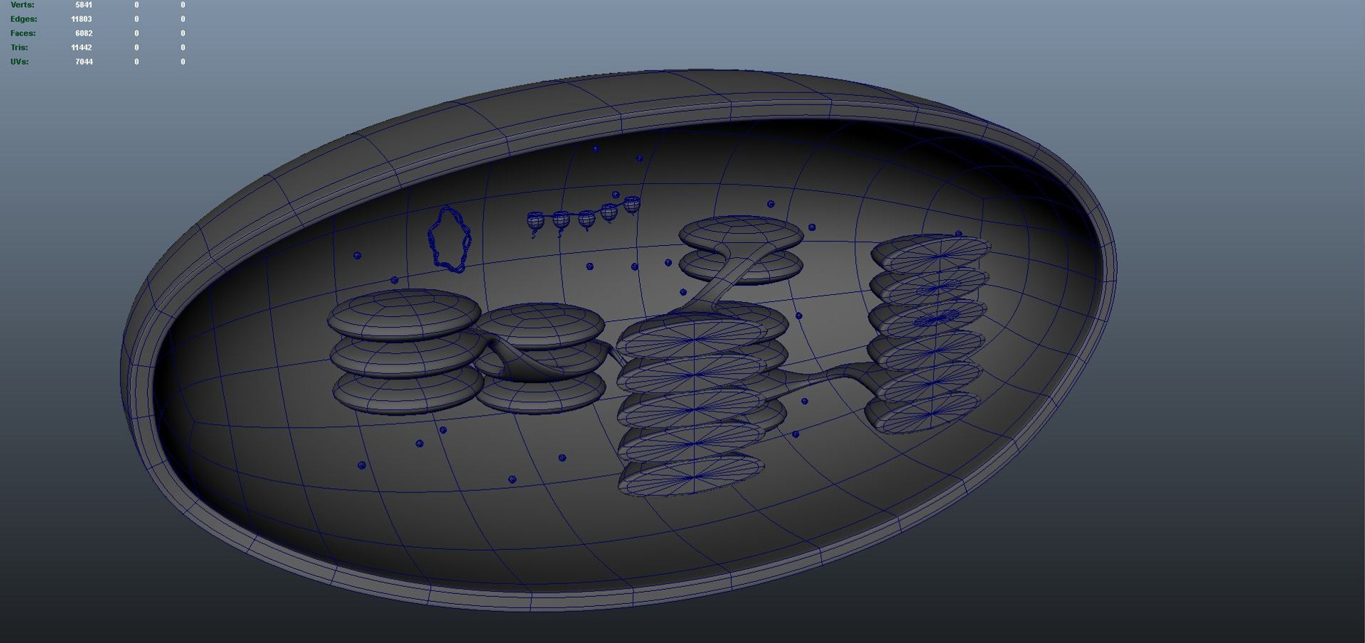 3d Chloroplast Model