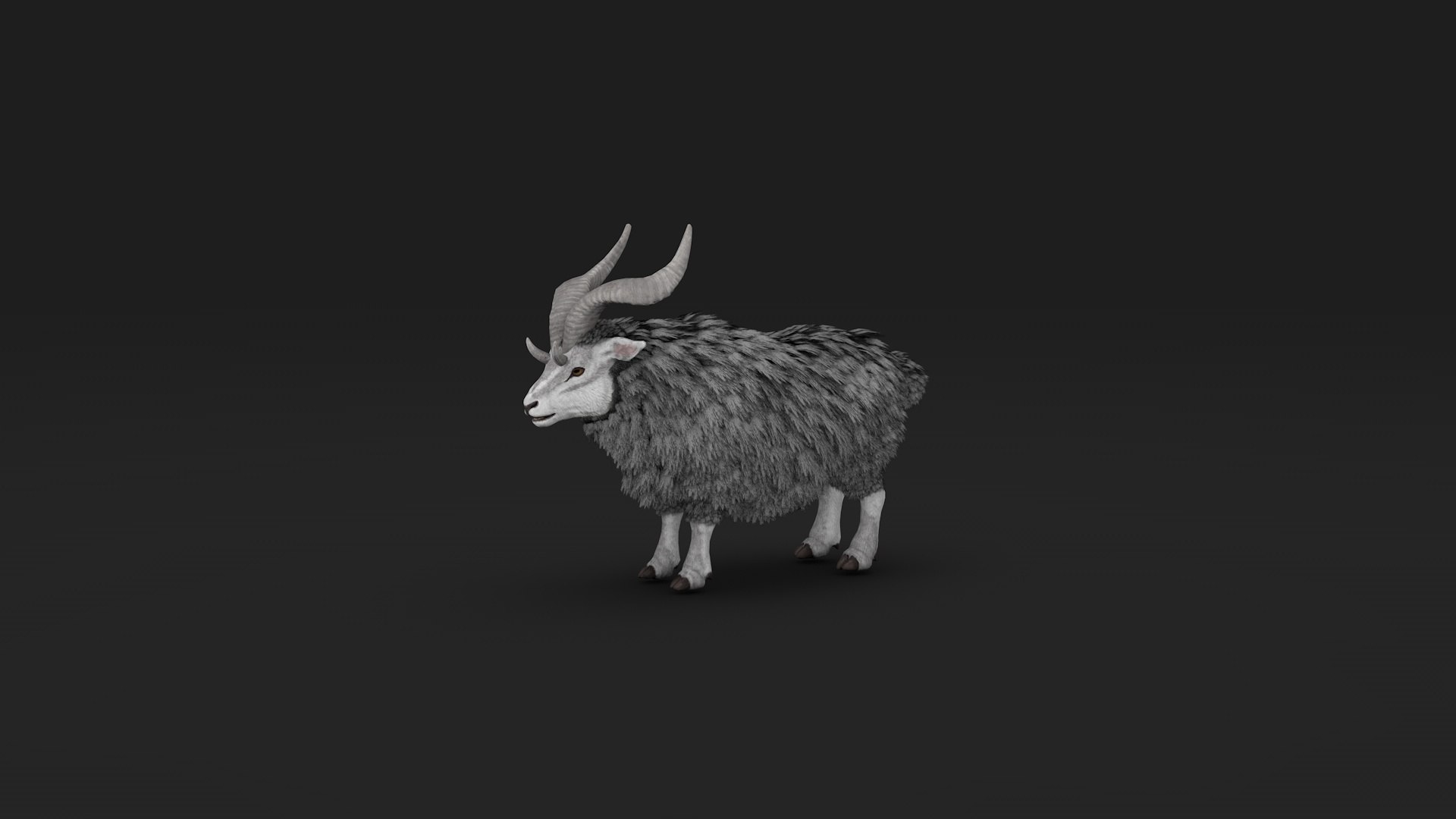 Sheep 3D Model - TurboSquid 1841899