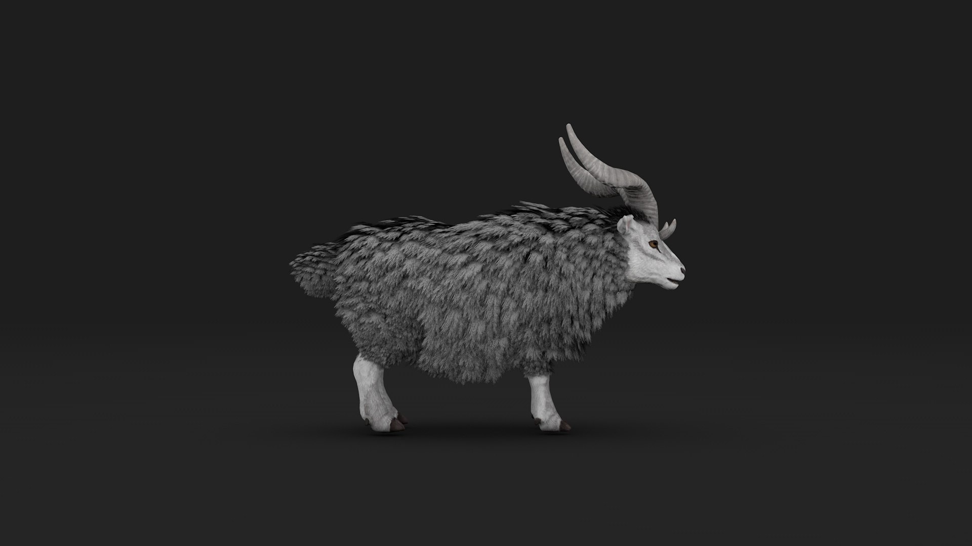 Sheep 3D Model - TurboSquid 1841899