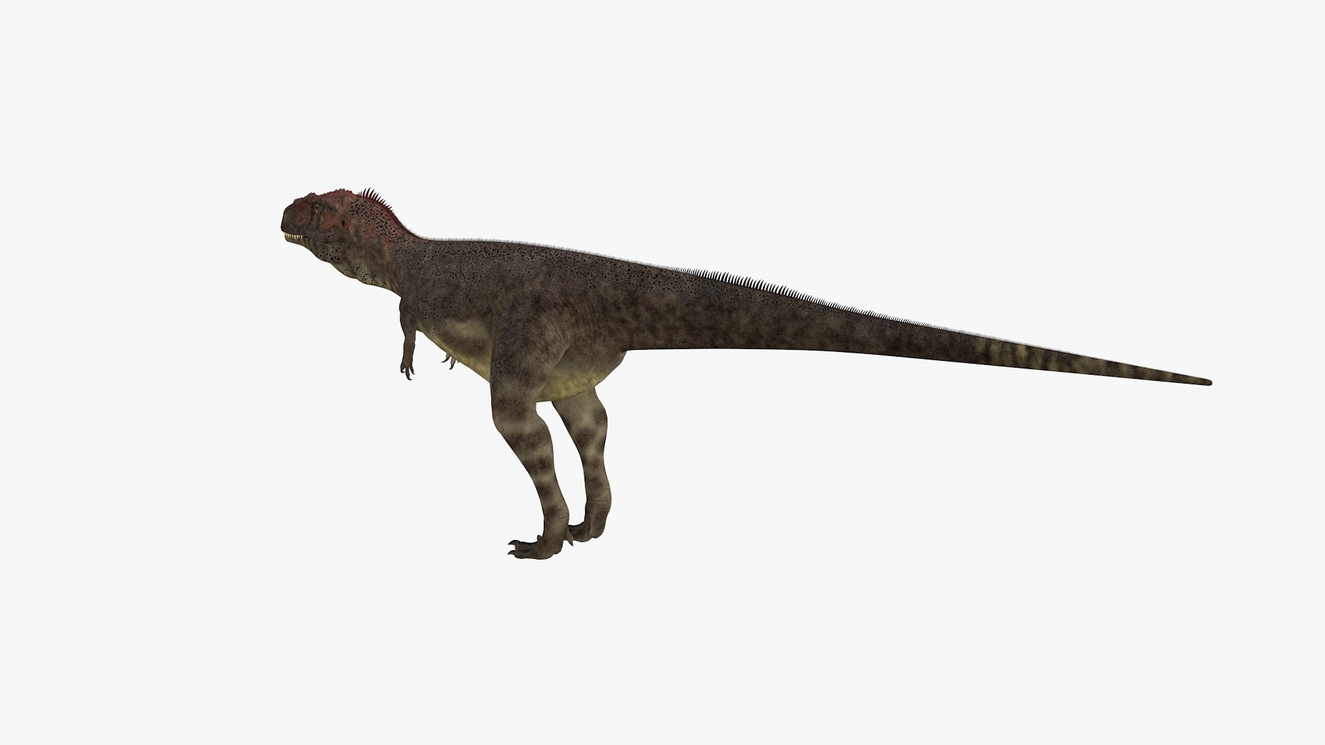 Mapusaurus 3D Model - TurboSquid 1844343