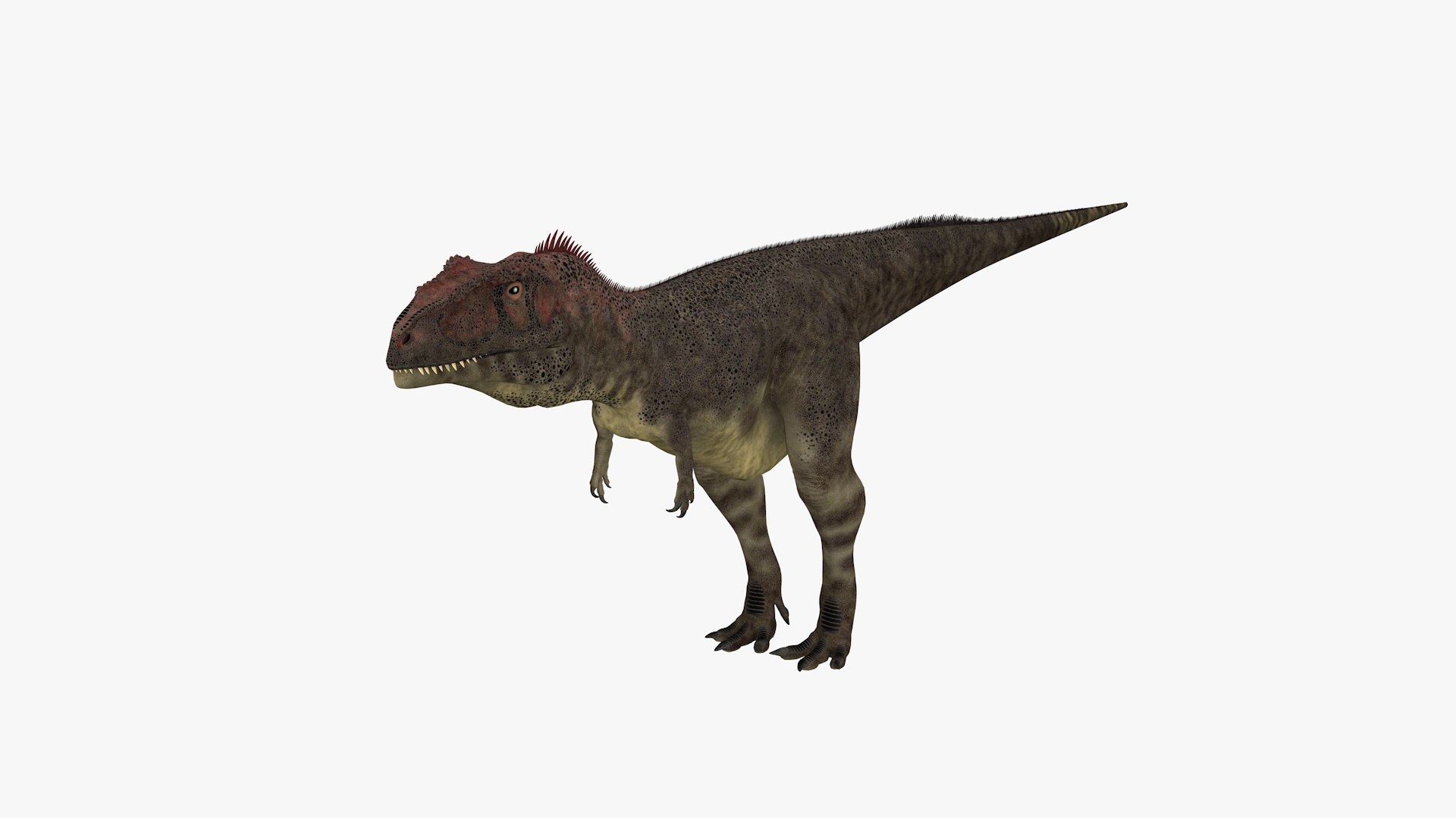Mapusaurus 3D Model - TurboSquid 1844343