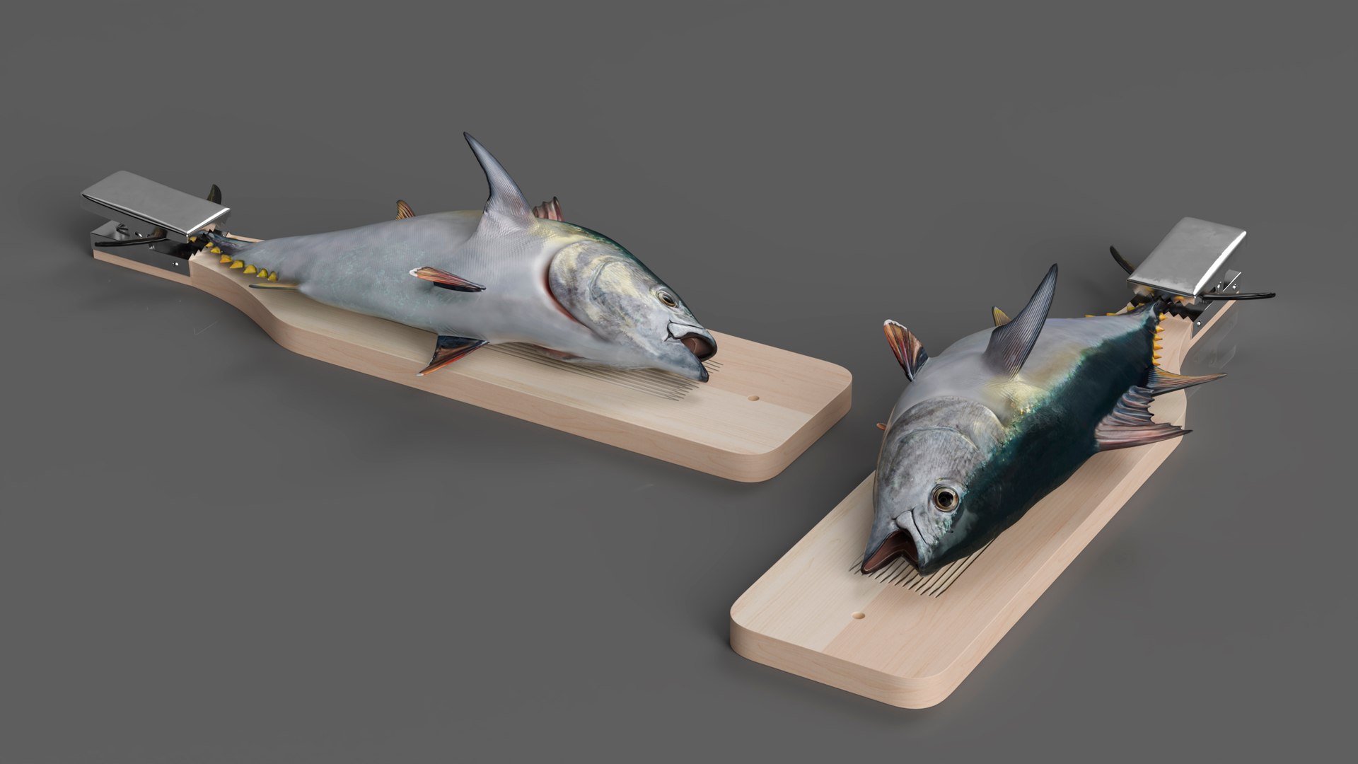Fish Cleaning Board With Tuna Model - TurboSquid 2248539