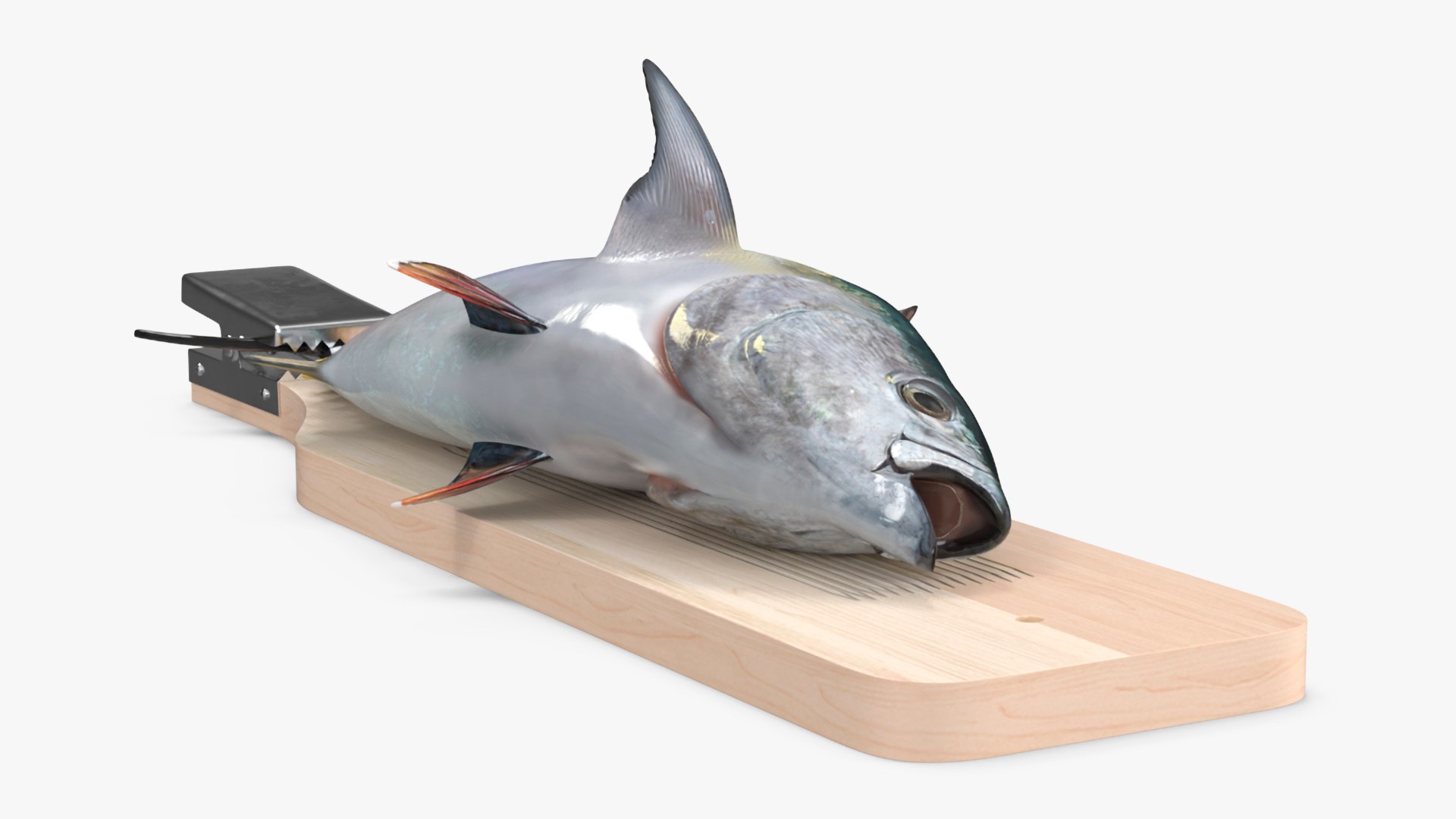 Fish Cleaning Board With Tuna Model - TurboSquid 2248539