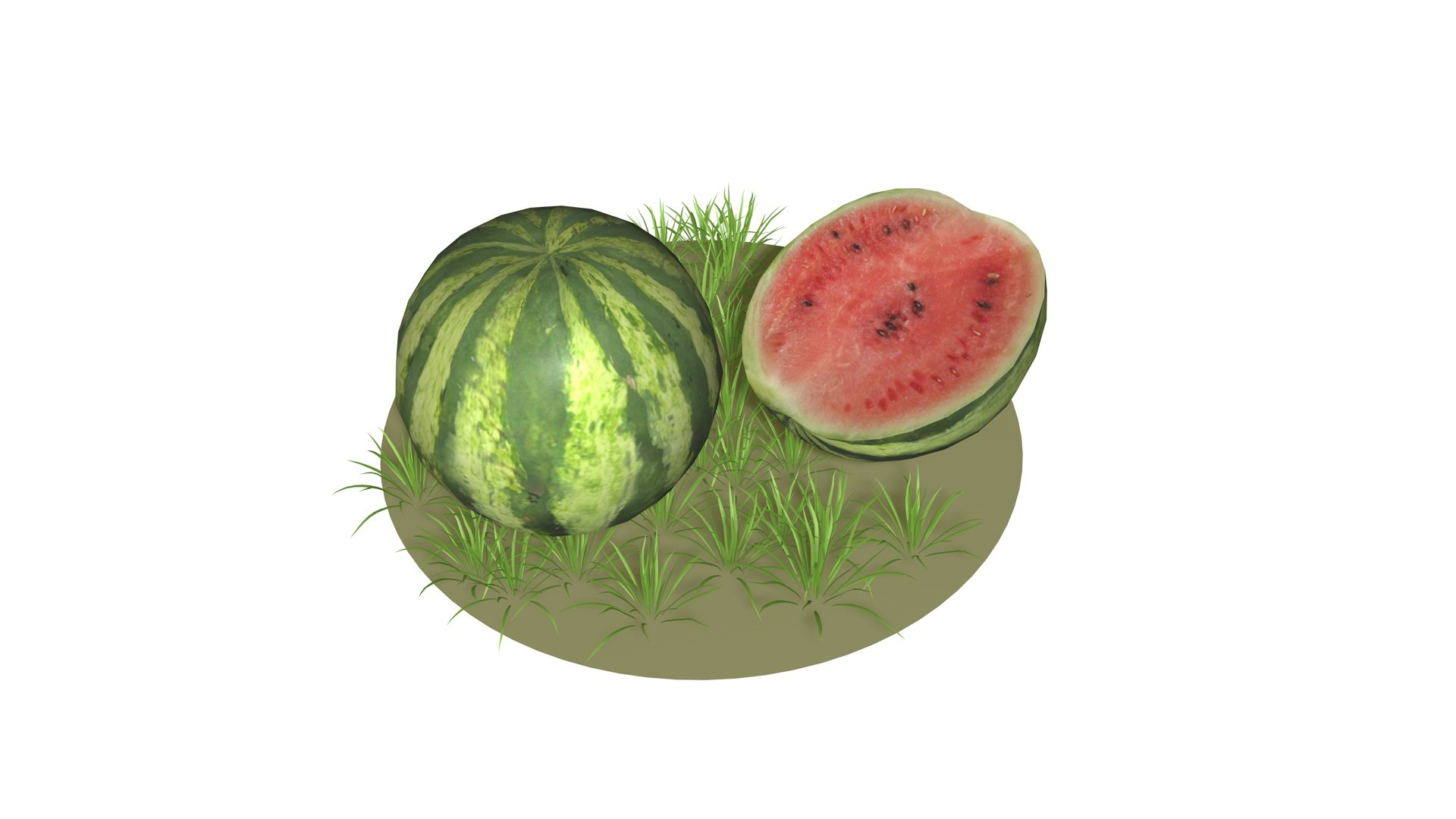 WatermelonS 3D model - TurboSquid 1725978