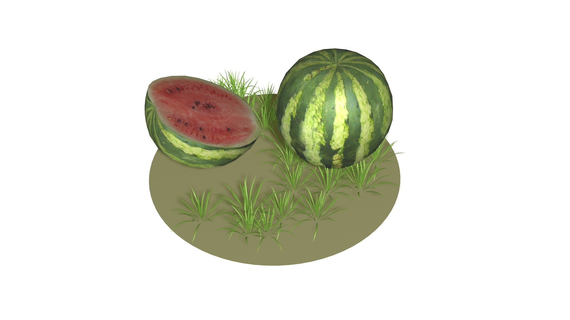 WatermelonS 3D model - TurboSquid 1725978