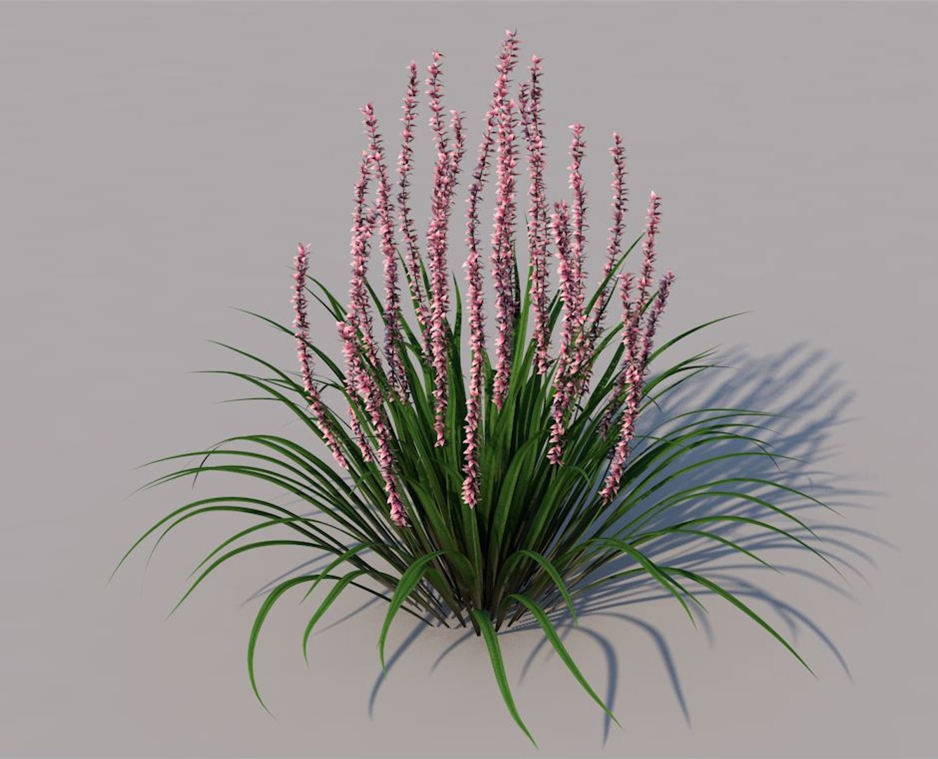 3D Flower Lily Turf Model - TurboSquid 1475966