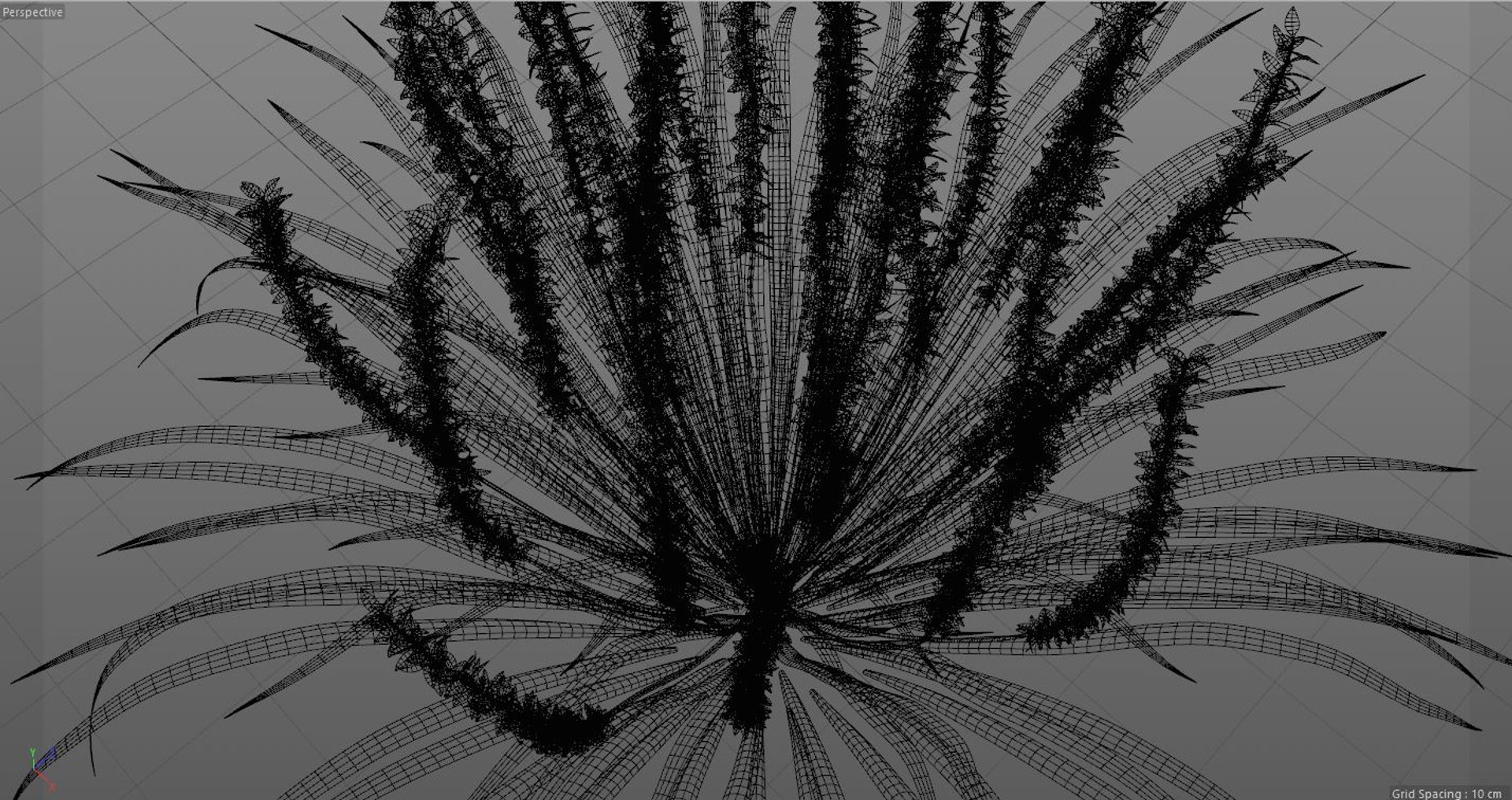 3D Flower Lily Turf Model - TurboSquid 1475966