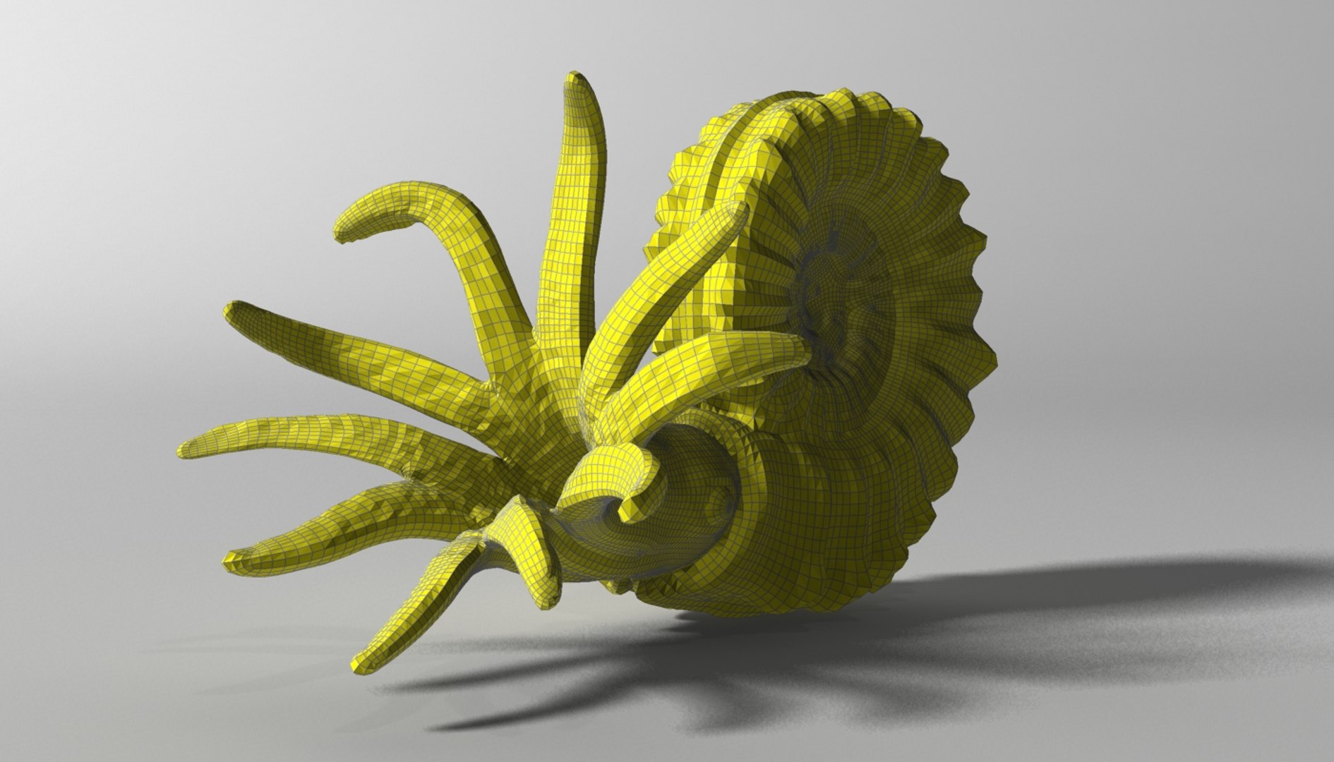 3D Model Ammonites Complete Underwater Scene - TurboSquid 1256089