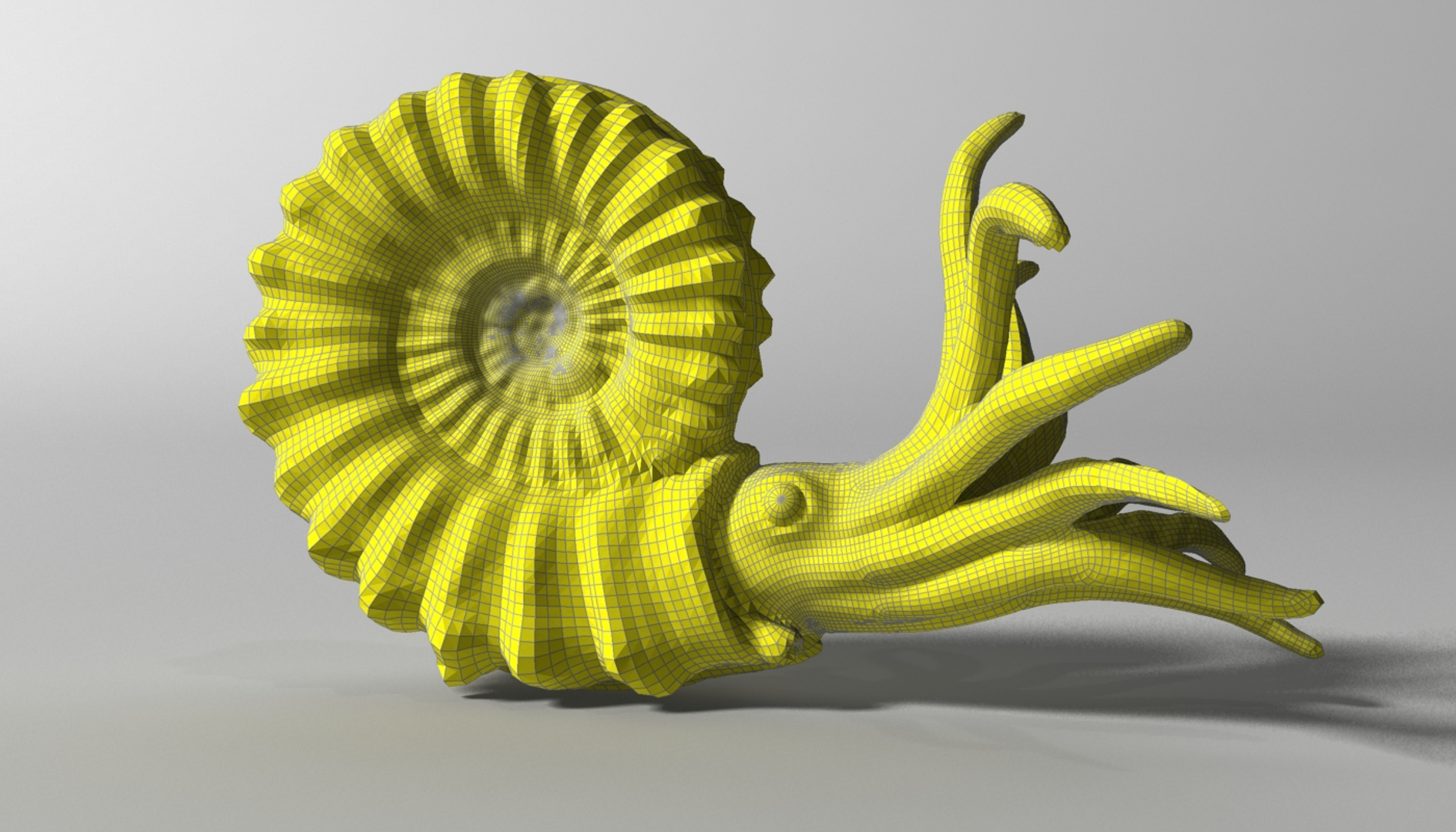 3D Model Ammonites Complete Underwater Scene - TurboSquid 1256089