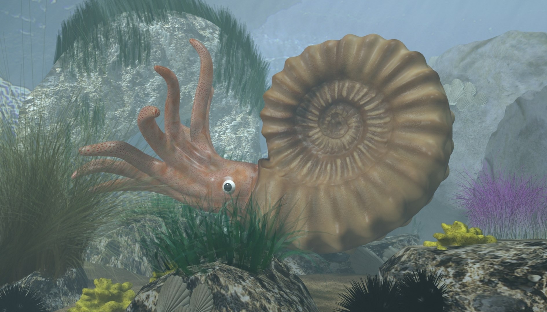 3D Model Ammonites Complete Underwater Scene - TurboSquid 1256089