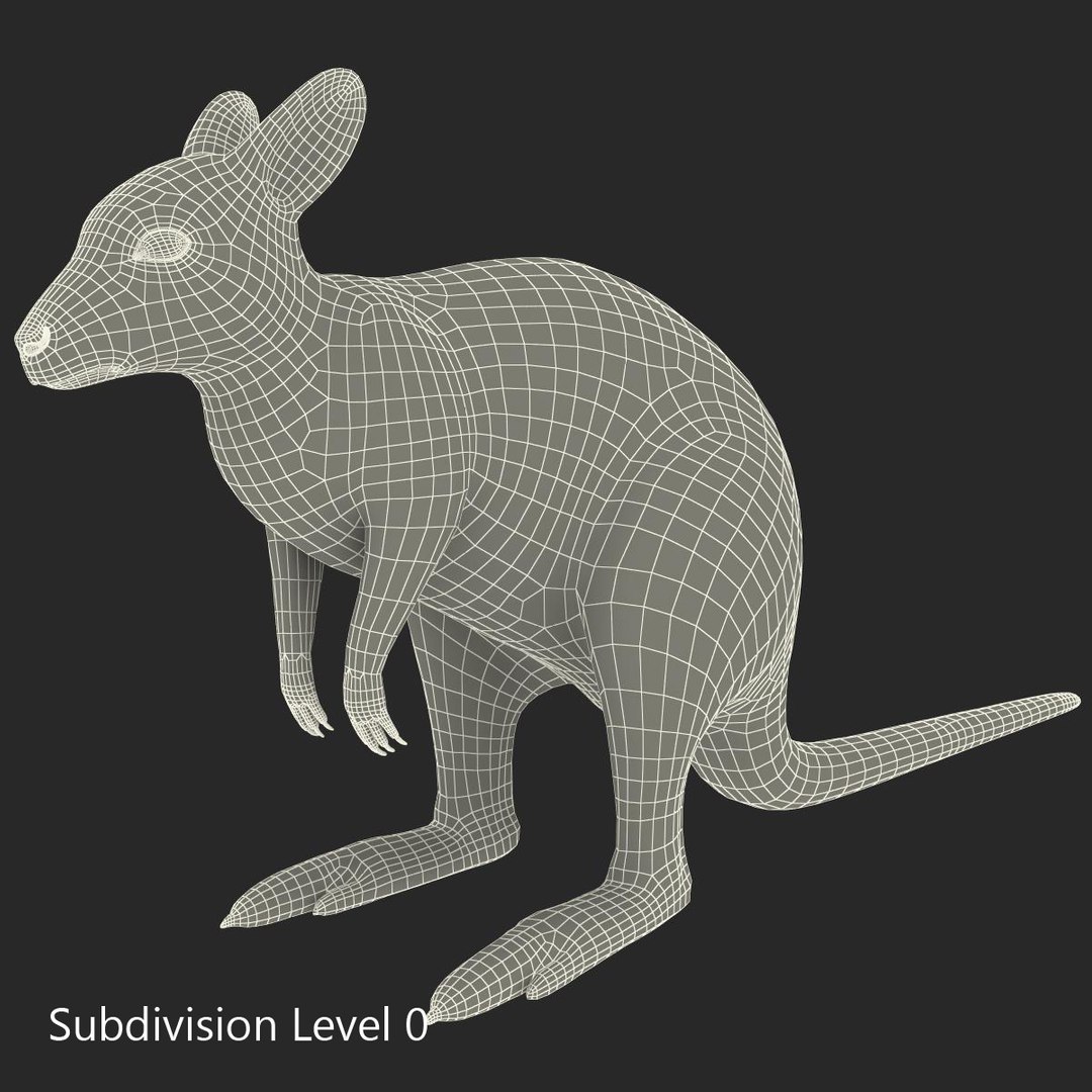 3ds max wallaby