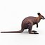 3ds max wallaby