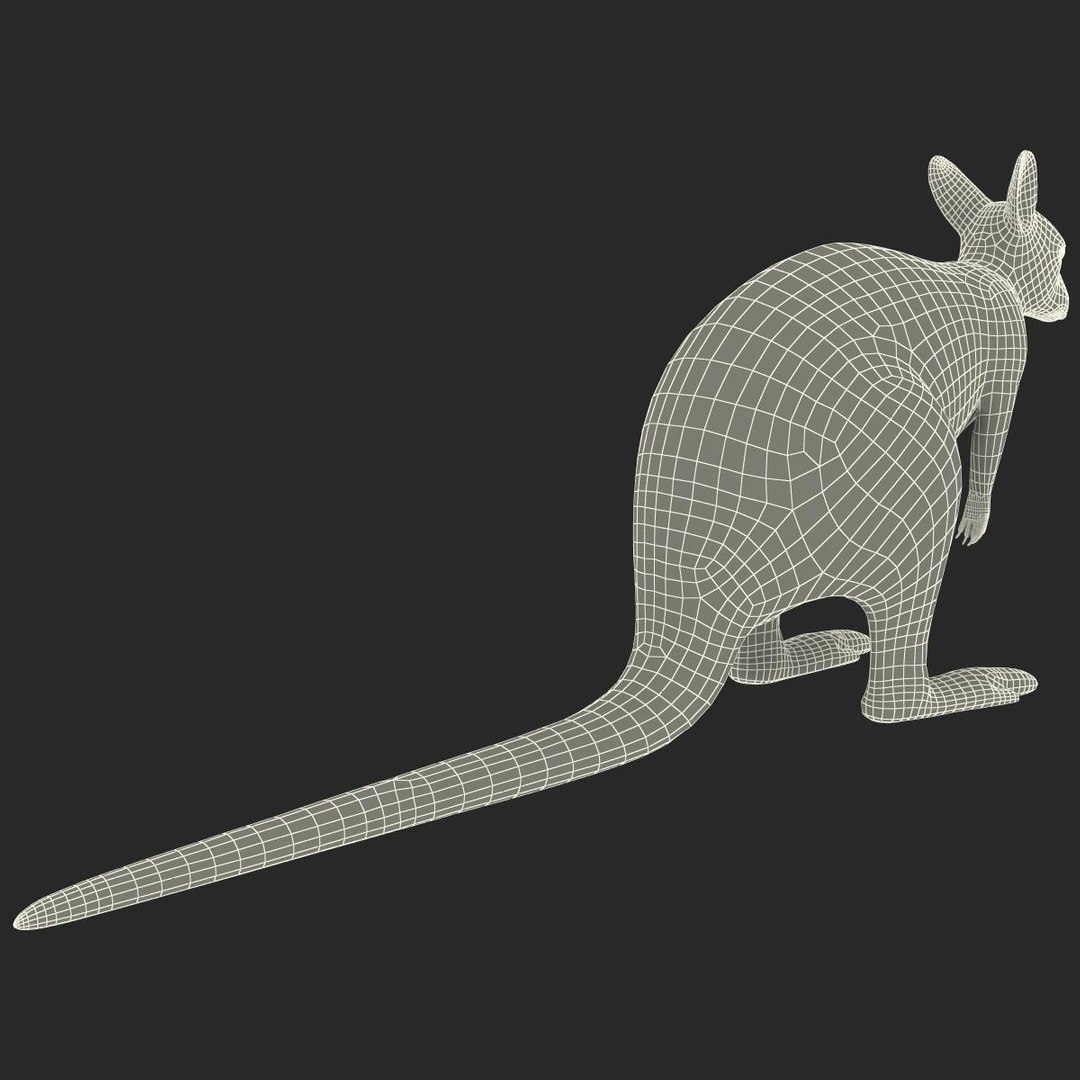 3ds max wallaby
