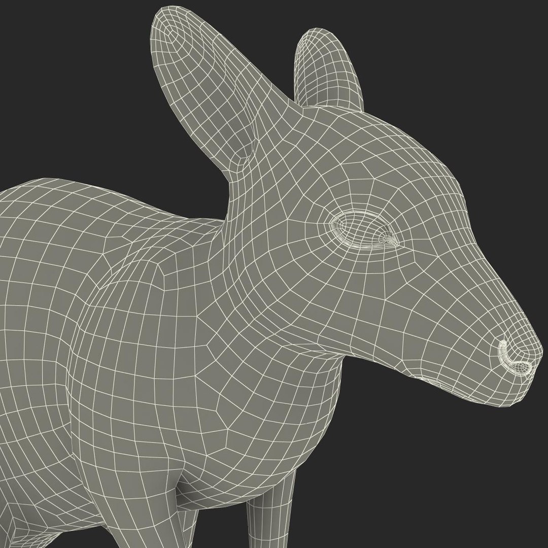 3ds max wallaby