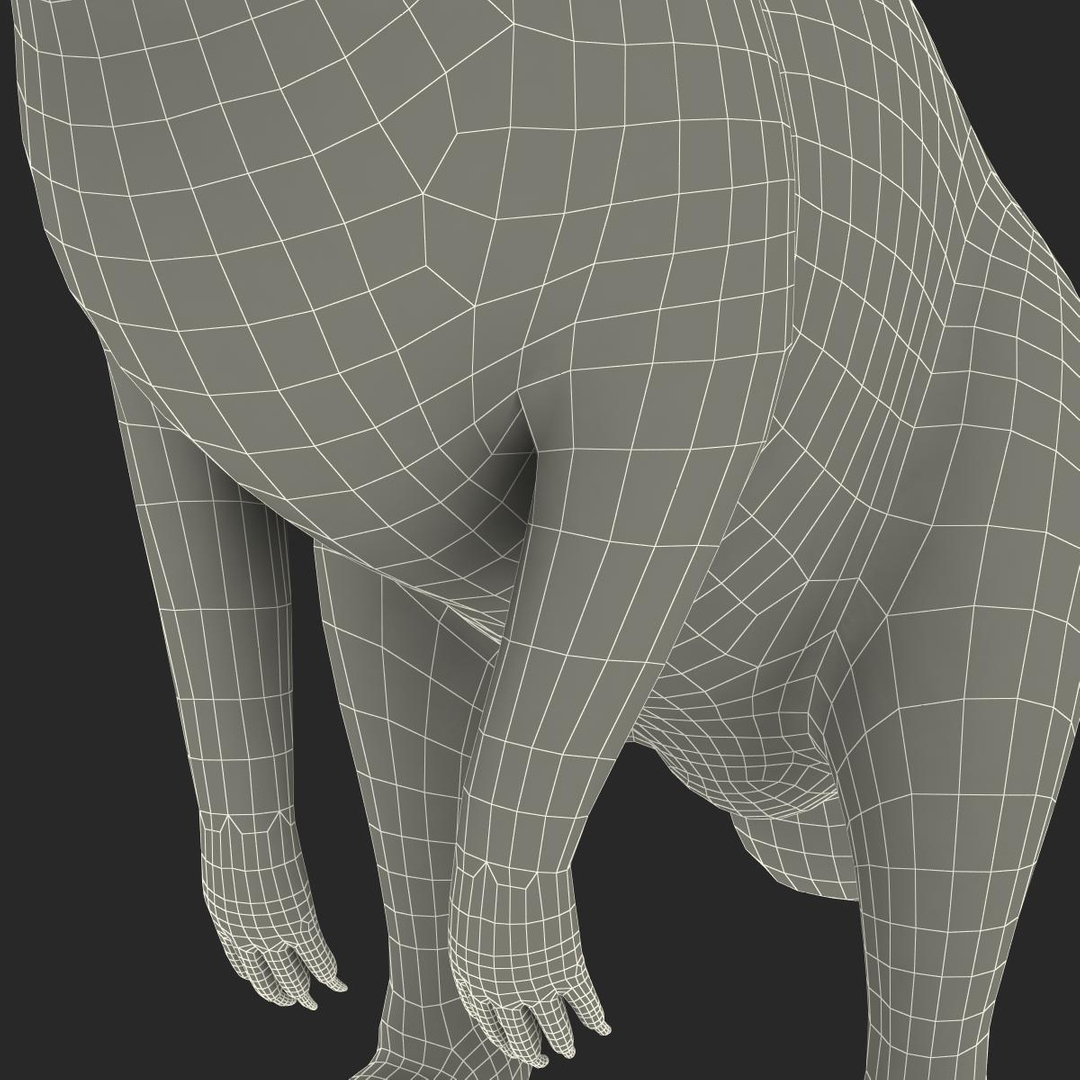 3ds max wallaby