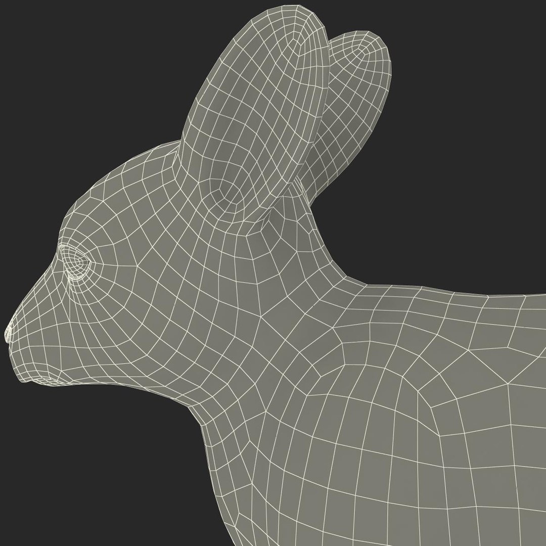 3ds max wallaby