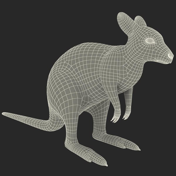 3ds max wallaby