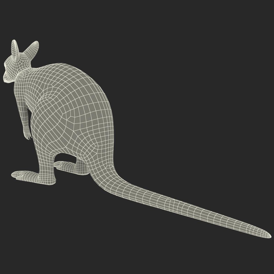 3ds max wallaby