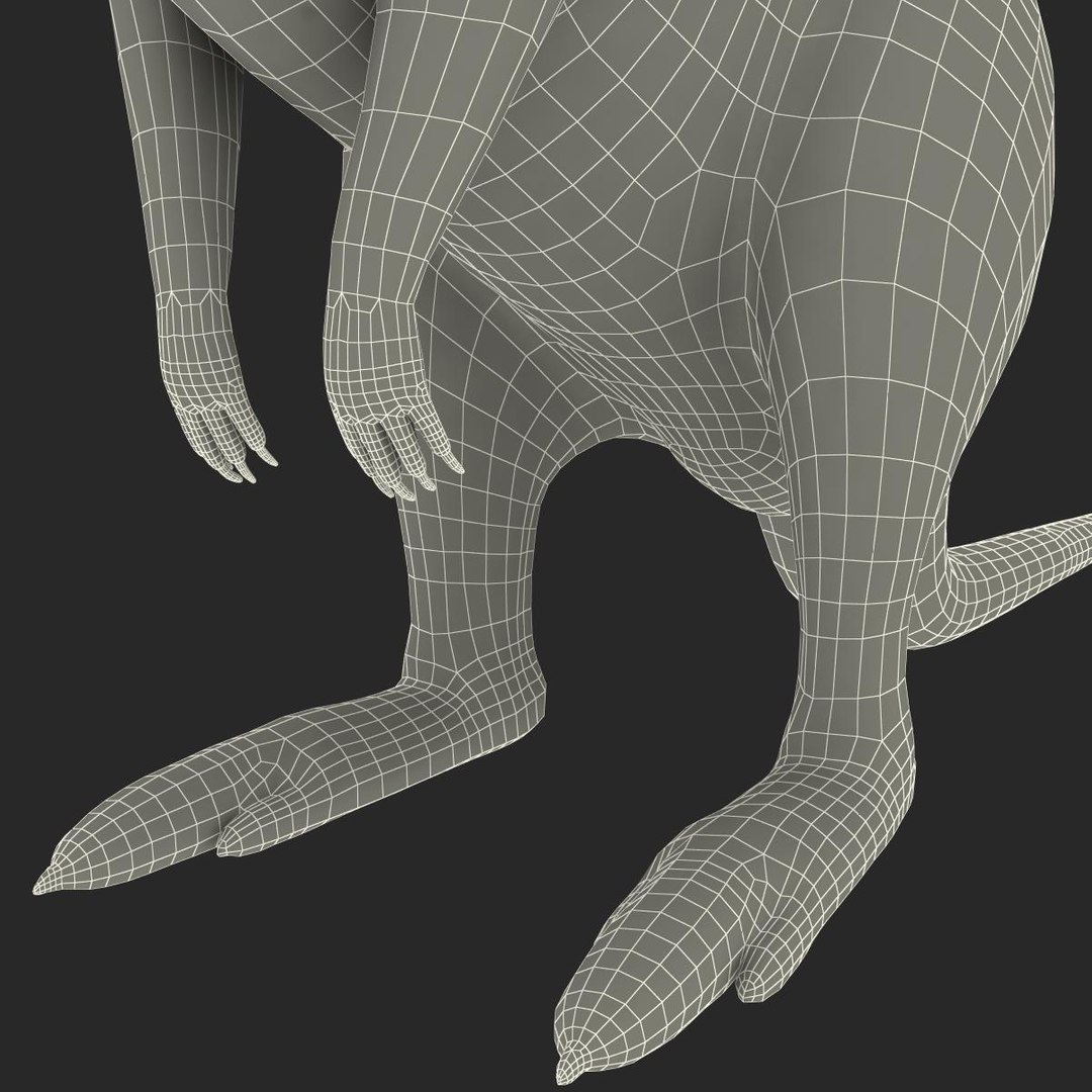 3ds max wallaby