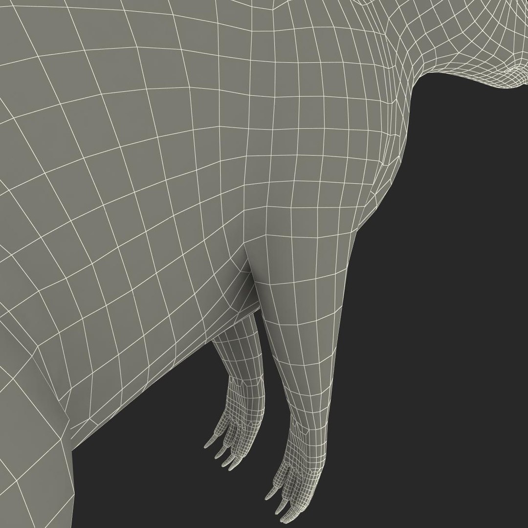 3ds max wallaby