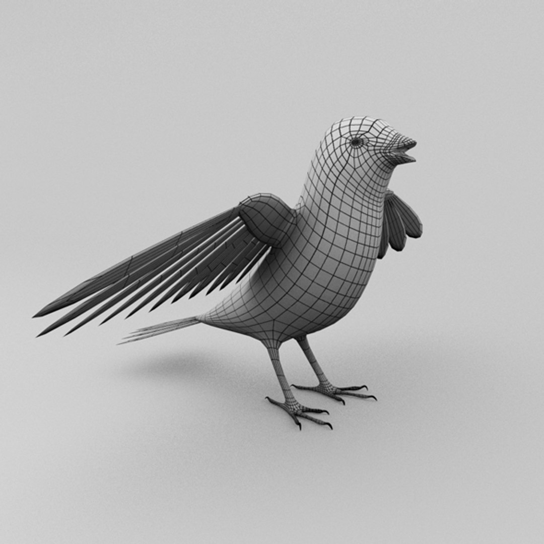 3D Bird - TurboSquid 1471880