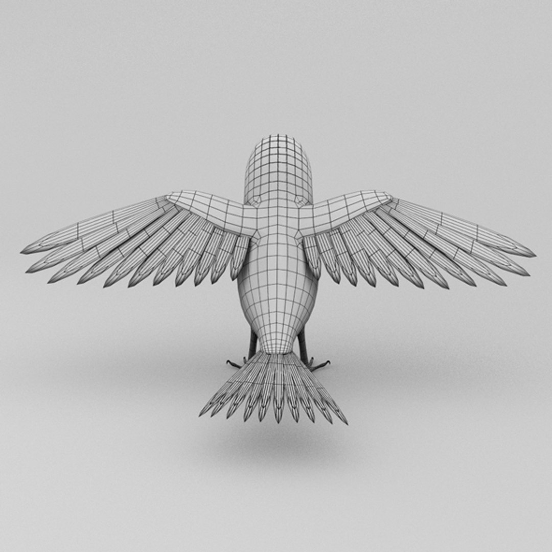 3D Bird - TurboSquid 1471880