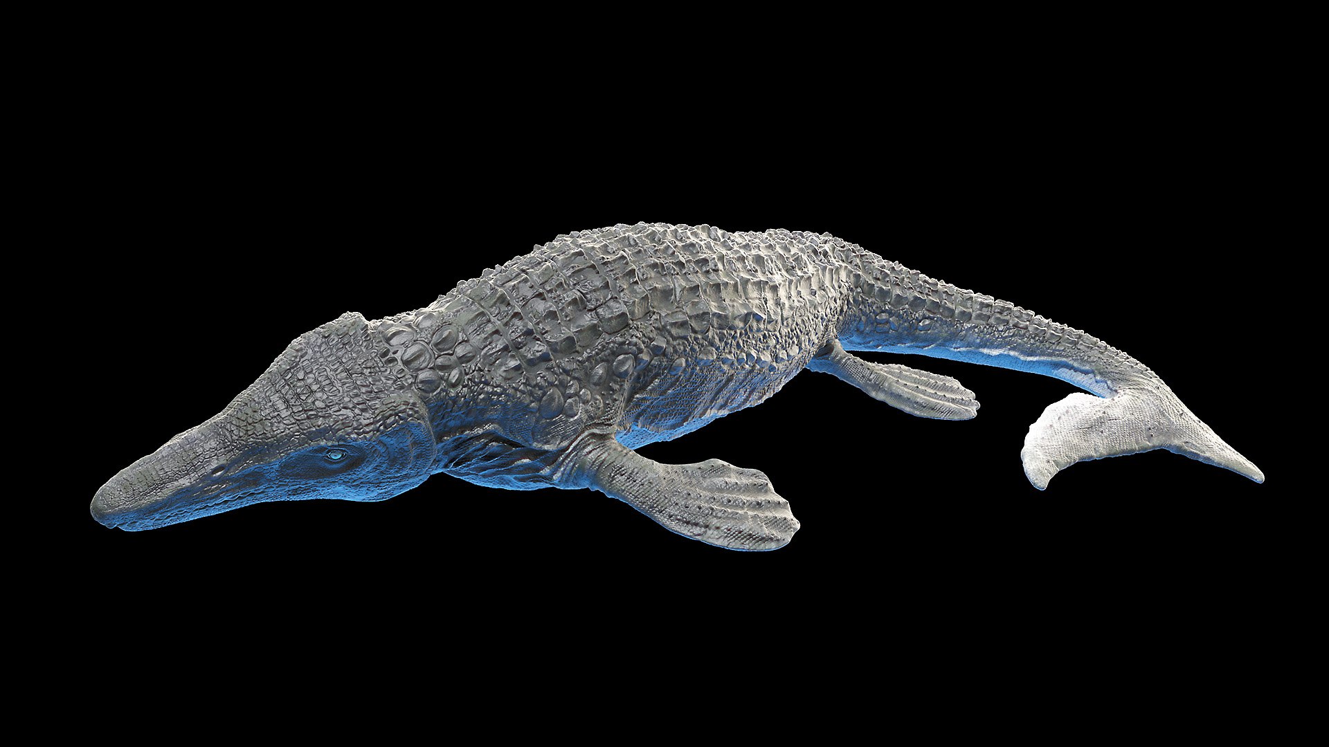3D Mosasaurus - TurboSquid 1662915