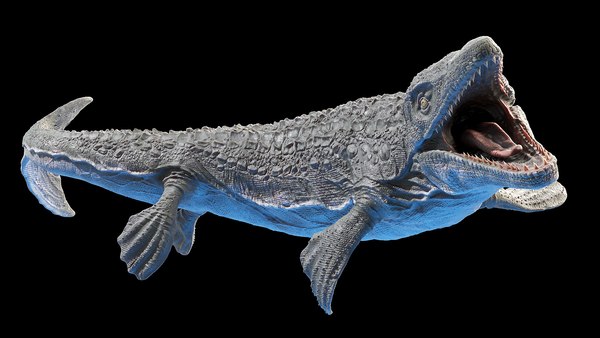 Mosasaurus 애니메이션 3D 모델 - TurboSquid 1662915