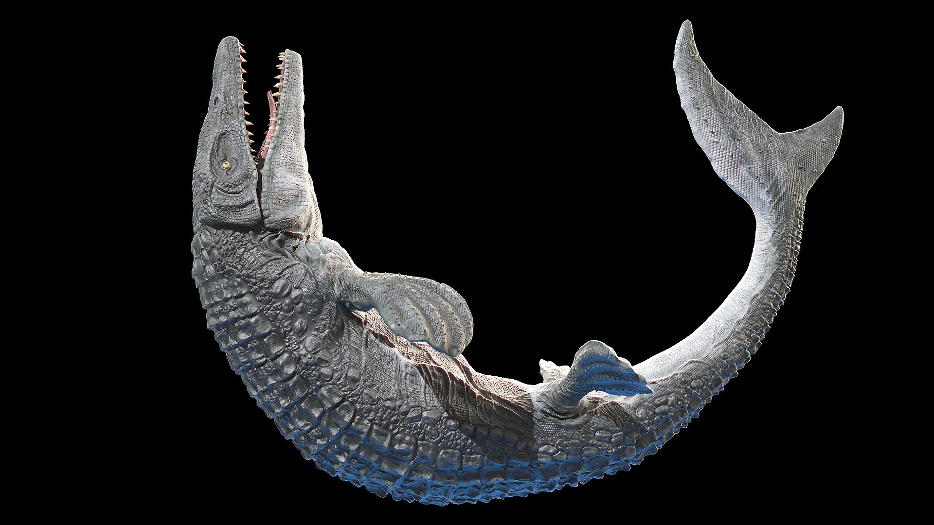 3D Mosasaurus - TurboSquid 1662915