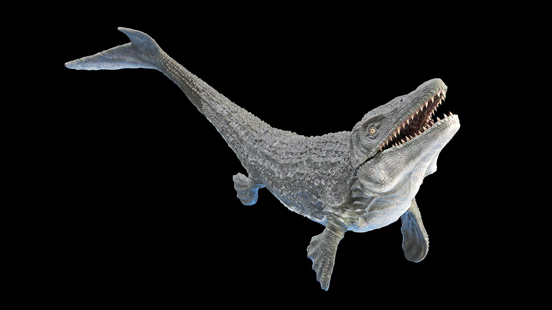 3D Mosasaurus - TurboSquid 1662915