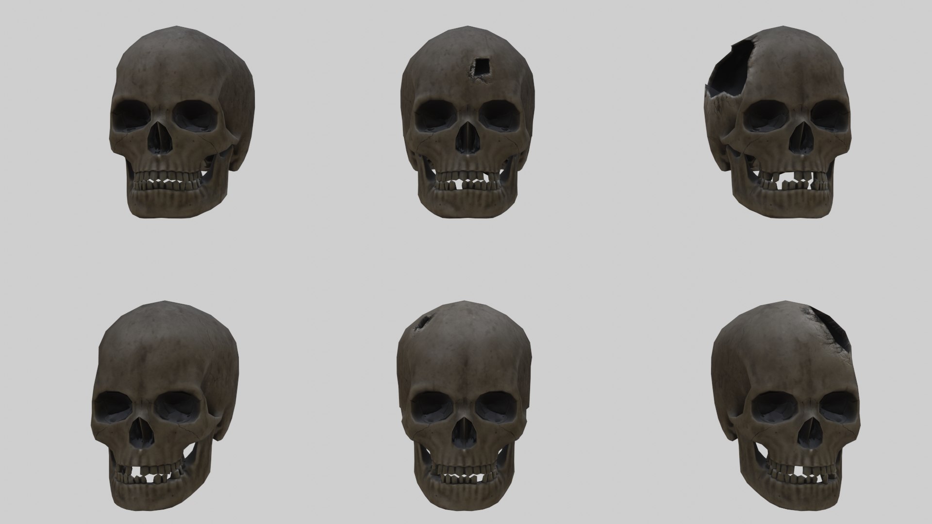 3D Skull Pbr Materials Skins - TurboSquid 1563546