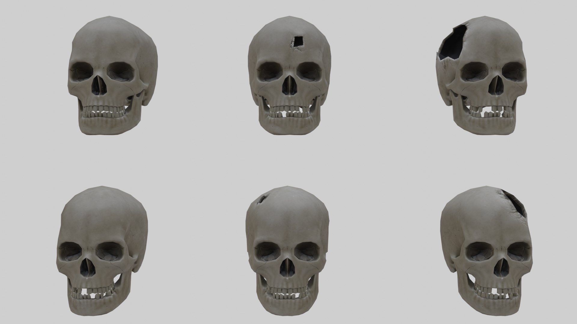 3D Skull Pbr Materials Skins - TurboSquid 1563546