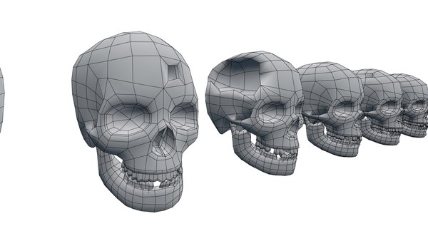 3D skull pbr materials skins - TurboSquid 1563546