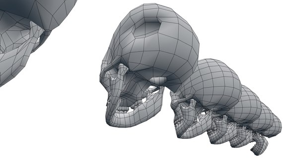 3D skull pbr materials skins - TurboSquid 1563546