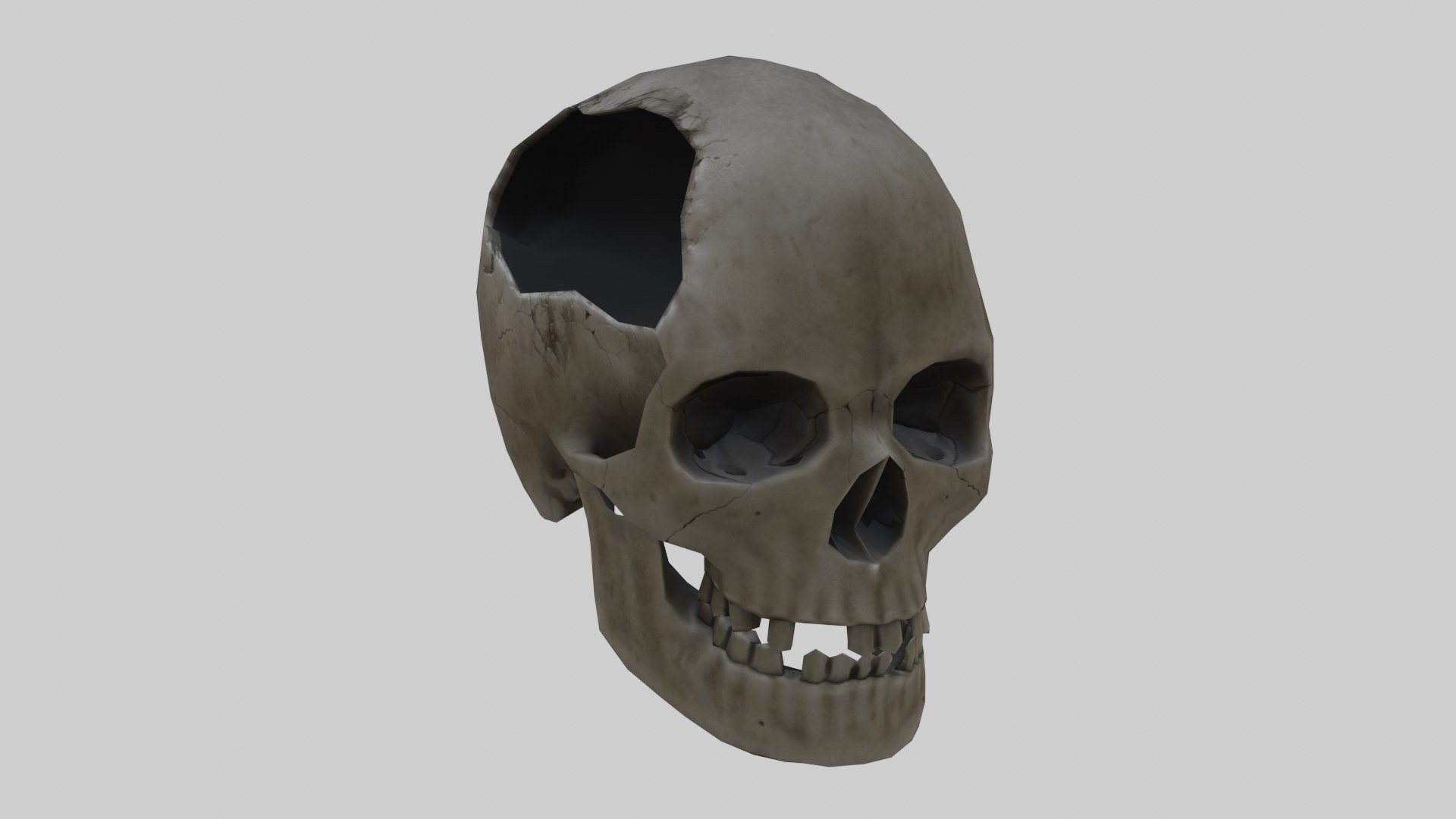 3D Skull Pbr Materials Skins - TurboSquid 1563546